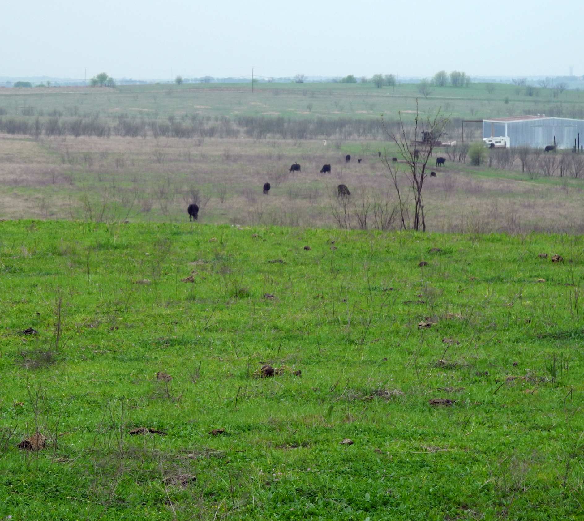 Abandoned & Little-Known Airfields: Texas - Northern Fort Worth area